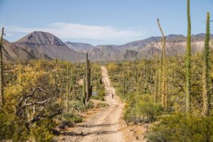 Baja Divide Route Overview/Informacion General - Baja Divide