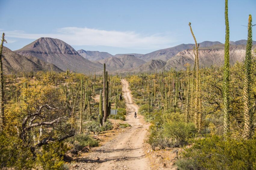 Baja Divide Route Overview/Informacion General - Baja Divide